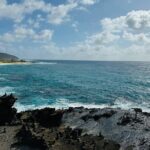 Scenic half day Circle Island tour - What Makes This Tour a Great Choice