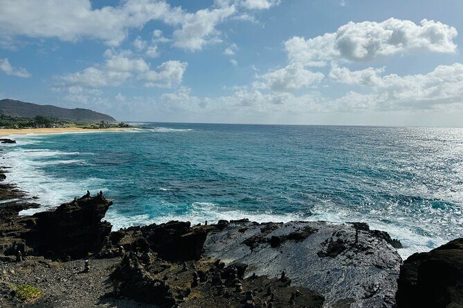 Scenic half day Circle Island tour - What Makes This Tour a Great Choice