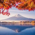 Scenic Spots of Mt Fuji and Lake Kawaguchi 1 Day Bus Tour - Authenticity and Visitor Insights