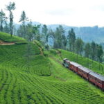Scenic Train Ride Ella To Horton Plains National Park And Drop Nuwara Eliya - Who Should Consider This Tour?