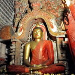 Scenic Train Ride from Kandy & 3 Temples - Highlights Tour - Who Will Love This Tour?