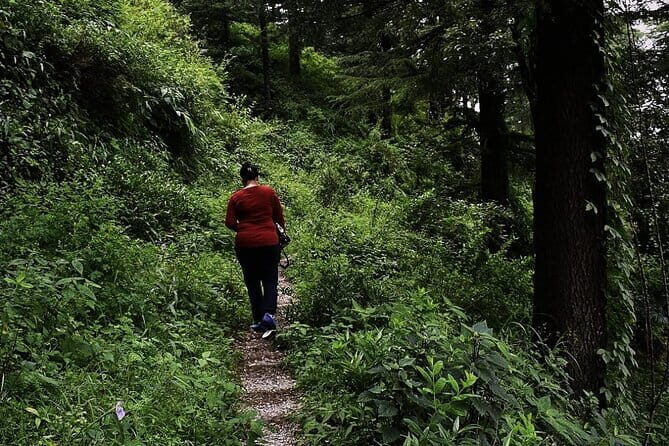 School Boy Walk - Practical Details and Considerations