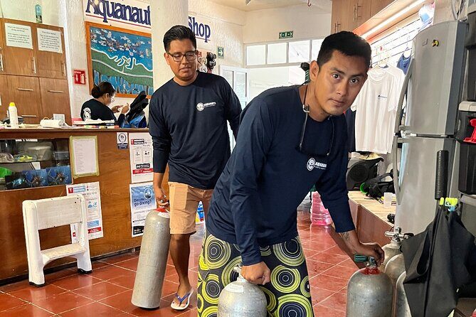 Scuba Diving around the Riviera Maya Reefs - How This Tour Comes to Life: What You Can Expect