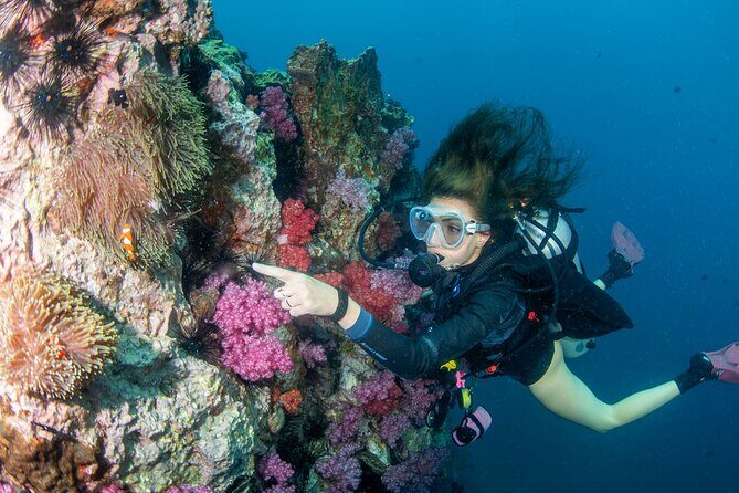 Scuba Diving Daytrip to Racha Yai - Final Thoughts