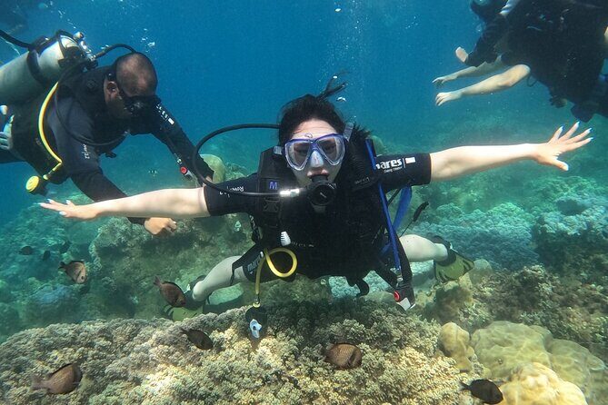 Scuba Diving Experience in Nha Trang Bay - What’s Included and What’s Not