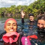Scuba Diving for Beginners  Playa del Carmen or Tulum - What’s Included and What’s Not