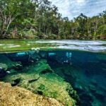 Scuba Diving in Cenotes - What You Can Expect from the Tour