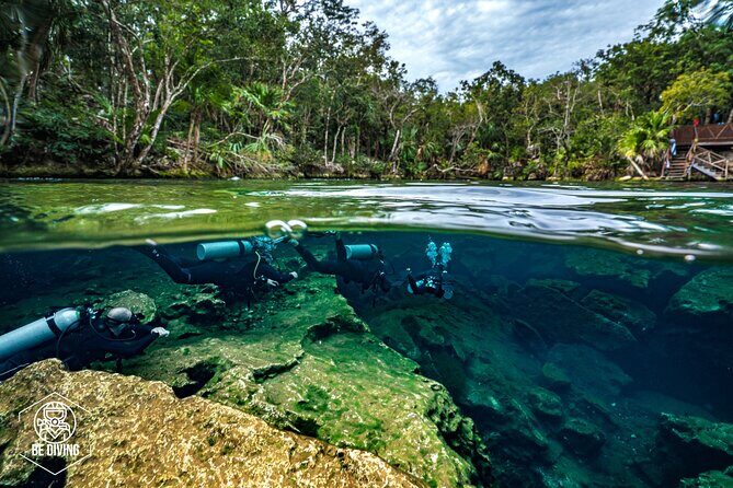 Scuba Diving in Cenotes - What You Can Expect from the Tour