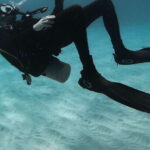 Scuba Diving in Mirissa - Deep Dive Into the Details: Why It’s a Good Choice
