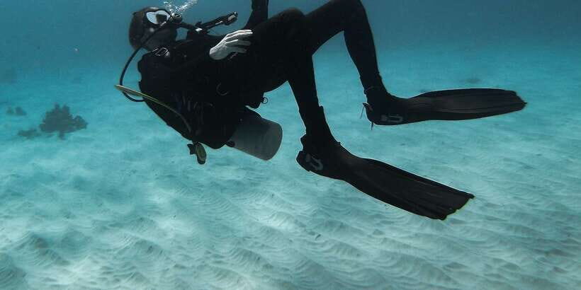 Scuba Diving in Mirissa - Deep Dive Into the Details: Why It’s a Good Choice