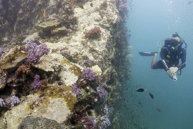 Scuba Diving in Phuket  Full-Day Trip (3 Dives, All Included) - What Truly Sets This Tour Apart