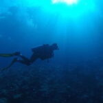 Scuba Diving in Unawatuna - What You Can Expect: The Essentials of the Tour