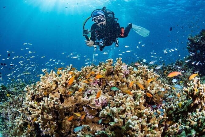 Scuba Diving Refresher(3 dives) - The Itinerary Breakdown