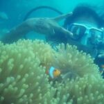 Scuba Diving (shore Dive) at Havelock Islands - Who Will Love This Experience?