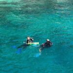 Scuba Diving Tour in Cham Island for certified divers or Beginners - Why This Tour Stands Out