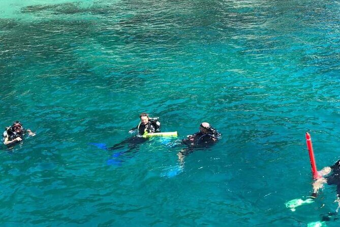 Scuba Diving Tour in Cham Island for certified divers or Beginners - Why This Tour Stands Out