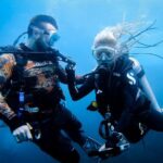 Scuba Diving Trip to Sail Rock From Koh Phangan (Certified Divers) - The Authenticity of the Marine Experience