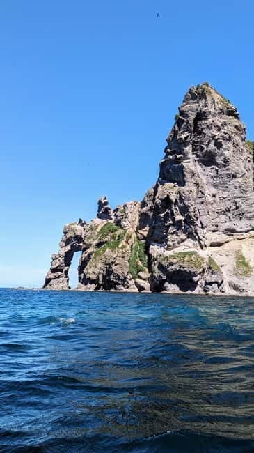 Sea Kayaking Tour - Otaru Coastal Adventure - The Experience Itself: Step-by-Step