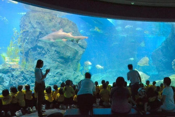 SEA LIFE Ocean World in Bangkok Admission Ticket - Who Should Consider Visiting SEA LIFE Bangkok Ocean World?
