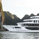Sea Octopus Cruise - Top Luxury Day Tour Explore Halong Bay - Itinerary Breakdown: What You’ll Experience