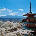 Season Special: Private Mt. Fuji Shibazakura Spring Tour - The Itinerary: What to Expect