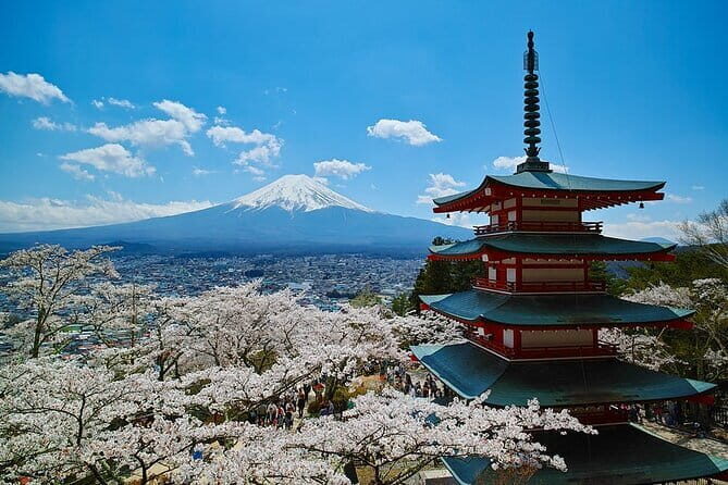 Season Special: Private Mt. Fuji Shibazakura Spring Tour - The Itinerary: What to Expect