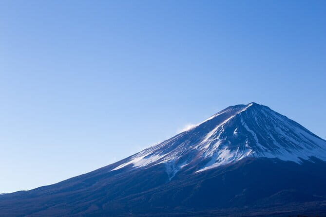 Seasonal Mt. Fuji Scenic Views, Fruit Picking and Ropeway Ride! - A Step-by-Step Breakdown of the Itinerary
