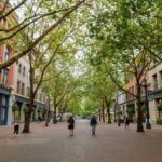 Seattle Mystery Walking Tour - Practical Details That Matter