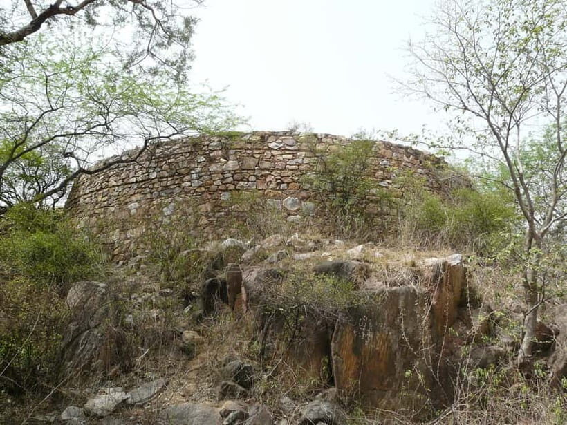 Secret and Spooky Ruins of Mehrauli Archaeological Park - Is This Tour Worth the Price?