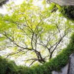 Secrets of Singapore Kick Scooter Tour with Dinner - Who Should Consider This Tour?