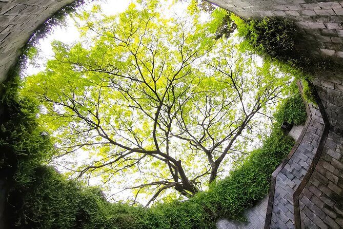 Secrets of Singapore Kick Scooter Tour with Dinner - Who Should Consider This Tour?