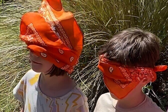 Secrets of the Forest Outdoor Escape Room Experience - Guides and Safety