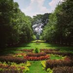 See Bangalore through my eyes (Cultural / Historical / Walking Tour) - Detailed Breakdown of the Tour Experience