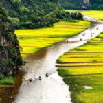 See The Incense Making Process In Quang Phu Cau & Ninh Binh - A Closer Look at the Experience