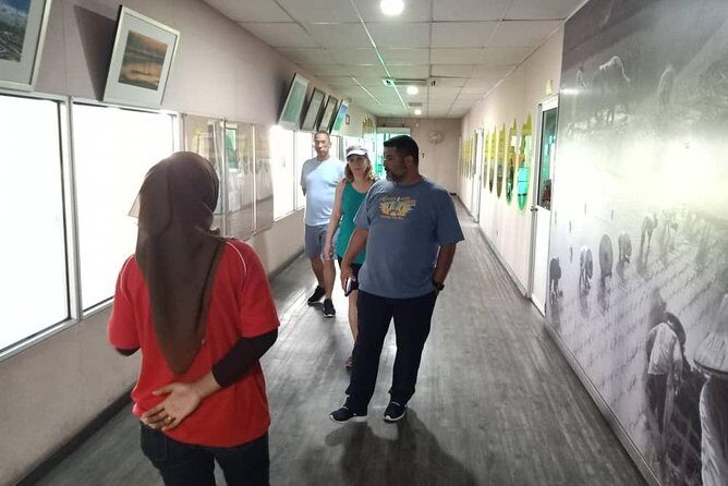 Sekinchan Paddy Field And Fishing Village From Kuala Lumpur - The Sum Up