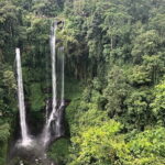 Sekumpul Waterfall All-Inclusive Tour with Guide and Transport - A Detailed Look at the Tour Experience