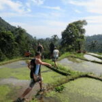 Sekumpul Waterfall Trekking - Lunch with a View