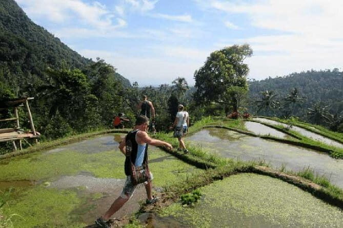 Sekumpul Waterfall Trekking - Lunch with a View