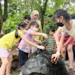 Selangor: Farm In The City Entry Ticket - Real Experiences and Visitor Insights
