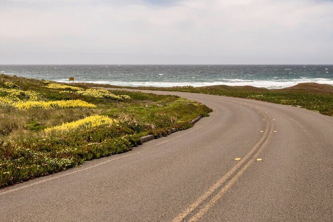 Self-Guided Audio Driving Tour of Point Reyes National Seashore - The Experience’s Practical Aspects
