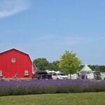 Self-Guided Driving Tour at Door Countys Washington Island - The Experience: What Travelers Can Expect