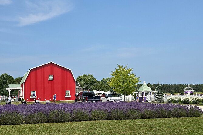 Self-Guided Driving Tour at Door Countys Washington Island - The Experience: What Travelers Can Expect