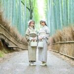 Self Guided Tour with Kimono Experience in Kyoto - What to Expect from the Experience