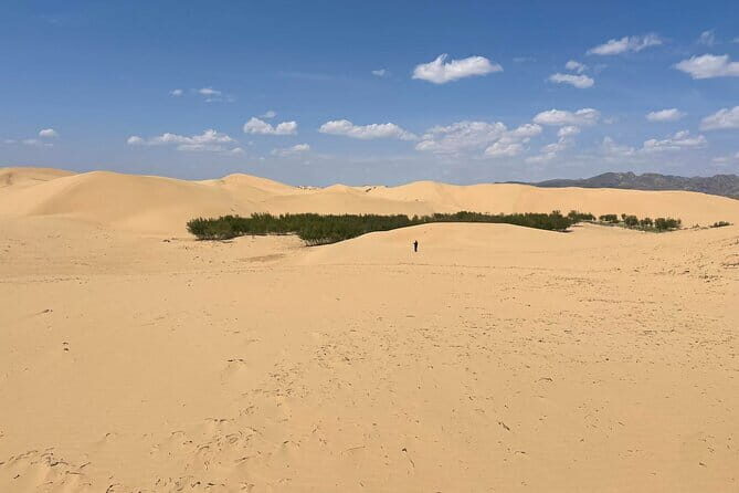 Semi Gobi and Khustai National Park 2 nights and 3 days trip - Day 3: The Heart of the Old Empire