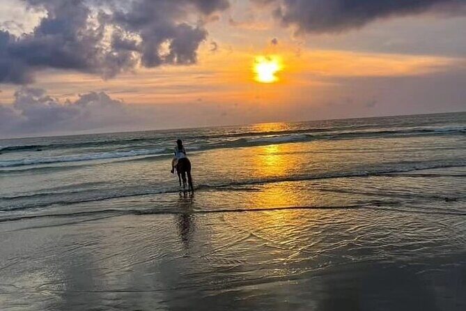 Seminyak beach Private Bali Horse Riding - What the Reviews Say
