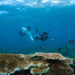 Semporna: Explore 3 Islands Tour Snorkel or Dive & Lunch - Who Will Love This Tour?