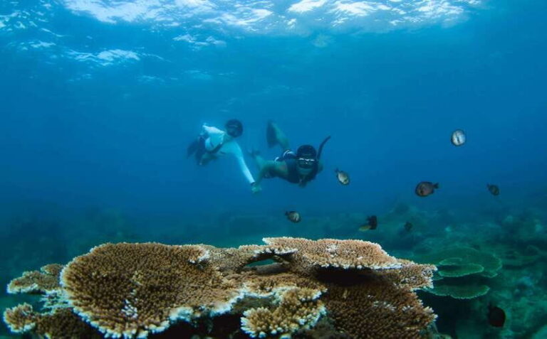 Semporna: Explore 3 Islands Tour Snorkel or Dive & Lunch - Who Will Love This Tour?