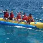 Semporna: Timbun Mata Island & Mangrove Cruise Tour - The Mangrove & Wildlife Experience