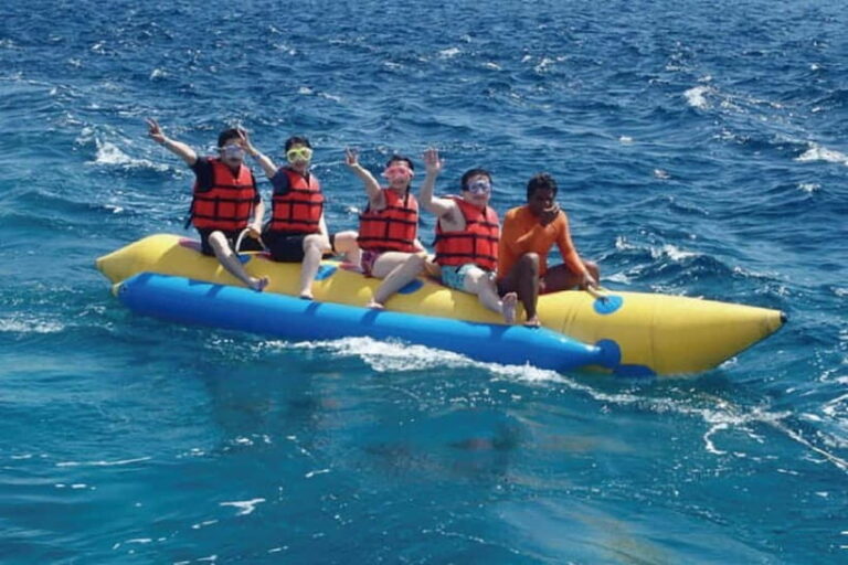 Semporna: Timbun Mata Island & Mangrove Cruise Tour - The Mangrove & Wildlife Experience