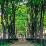 Sendai Castle Armor Experience - What Travelers Say